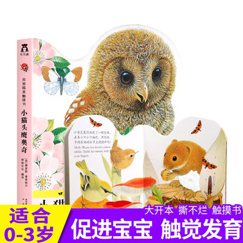 小兔比利亮丽精美触摸书系列儿童绘本0-3岁启蒙认知纸板童书宝宝感官启蒙图书 小猫头鹰奥奇
