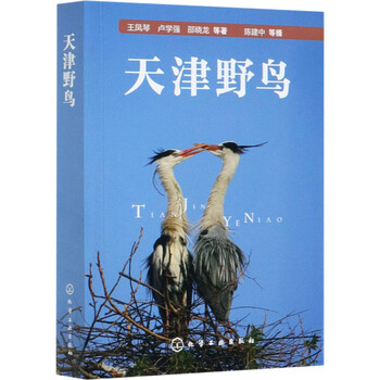 天津野鸟