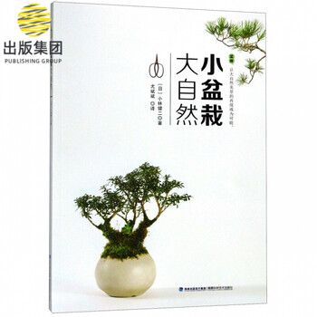 小盆栽大自然