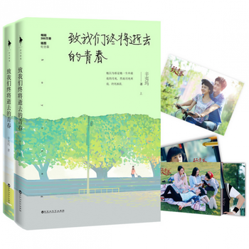 致我们终将逝去的青春 插图纪念版上下全套装2册WE-49.8Z2辛夷坞暖伤青春白马时光都市言情