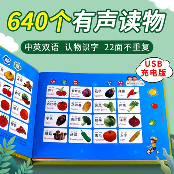 会说话的早教有声书充电版 点读发声绘本幼儿早教1-3岁书籍 宝宝拼音拼读训练学器 2岁书籍
