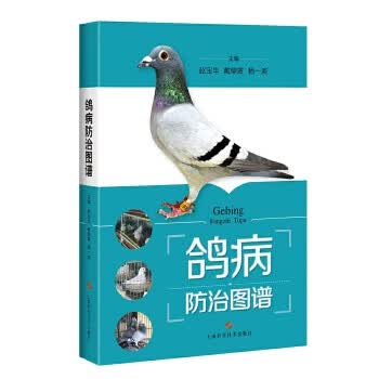 鸽病防治图谱 赵宝华 戴鼎震 杨一波 上海科学技术出版社【正版图书】