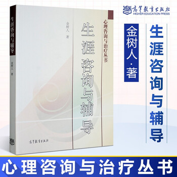  生涯咨询与辅导 金树人 高等教育出版社 心理咨询与治疗丛书 生涯咨询辅导理论实践