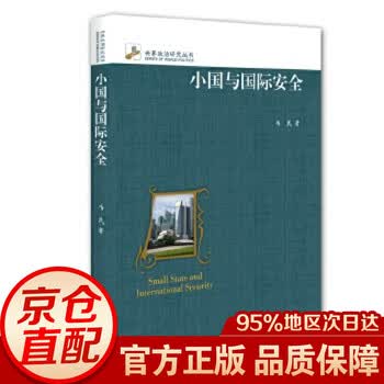 小国与安全