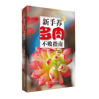新手养多肉不败指南