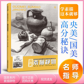 国美素描静物临摹书画册入门教材基础范本单体组合水果衬布写生照片书罐子结构绘画画初学者美术培训班周文超儿童成人自学练习 国美素描静物