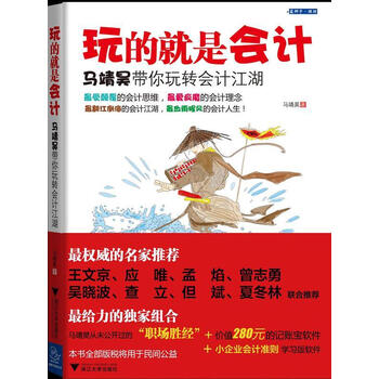 玩的就是会计 【正版书】