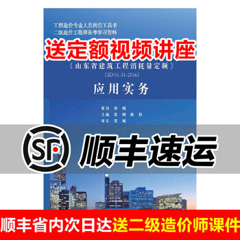 山东省建筑工程消耗量定额 应用实务-常城2020年出版 二级造价工程师备考学习资料 工程造价专业人员