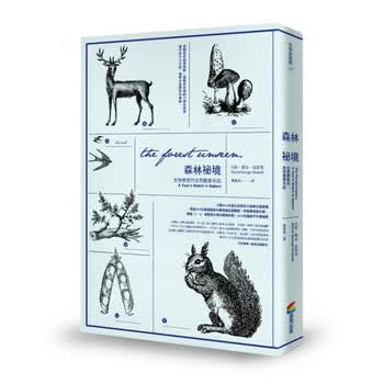 现货台版 《森林秘境改版》 生物学家的自然观察年志 商周出版 精彩生动的43堂自然课自然科