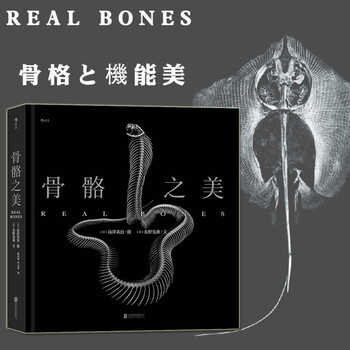 后浪官方正版 骨骼之美  汤泽英治 12开大幅骨骼艺术黑白摄影作品书籍