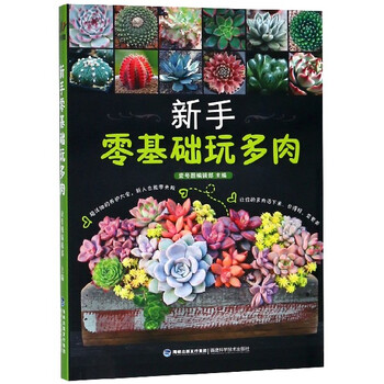 新手零基础玩多肉