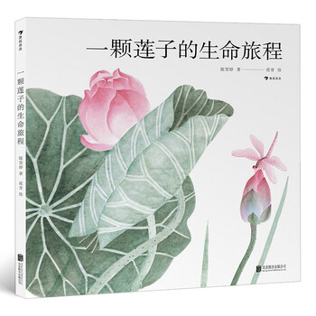 一颗莲子的生命旅程（原创植物科普绘本，以国画绘出莲的生命轮回）浪花朵朵
