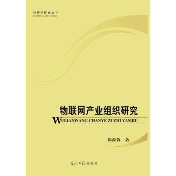 物联网产业组织研究