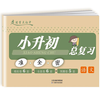 小升初总复习测试卷 语文（全套模拟试卷必刷题总复习同步练习