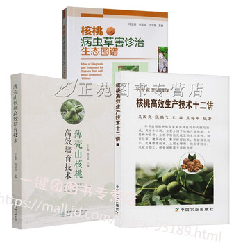 3册 薄壳山核桃高效培育技术核桃高效生产技术十二讲核桃病虫草害诊治生态图谱薄皮核桃栽培种植育苗技术书