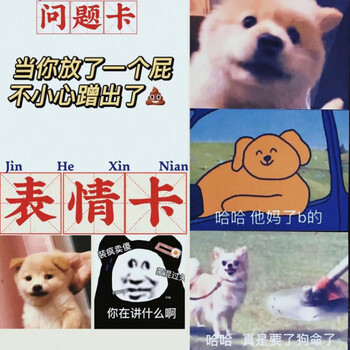抖音同款网红多人纸牌类游戏what do you meme中文表情包卡牌卡通扑克牌 65张