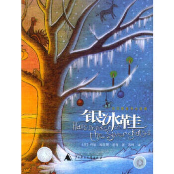 银冰鞋  广西师范大学出版社 9787563344864