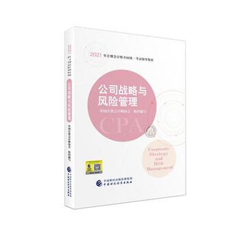 公司战略与风险管理