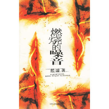 燃烧的噪音 【正版书】