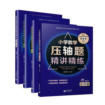 数学压轴题精讲精练系列（全4册）