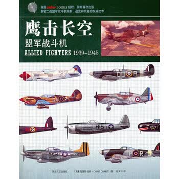 鹰击长空:盟军战斗机