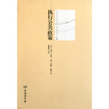执行公共政策