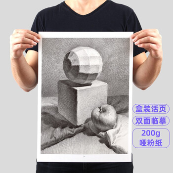 国美素描静物临摹书画册入门教材基础范本单体组合水果衬布写生照片书罐子结构绘画画初学者美术培训班周文超儿童成人自学练习 国美素描临摹卡:结构与明暗