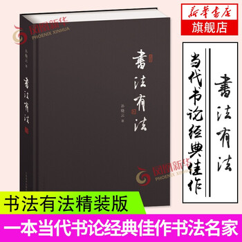 书法有法 精装版 孙晓云 书法技术艺术教程 书法名家名品宝库 书法书法技法教程鉴赏导读初学者学习