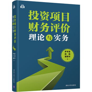 投资项目财务评价理论与实务 图书