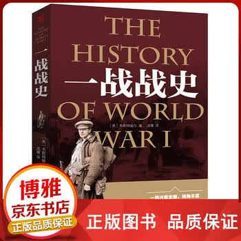 一战战史全集 世界大战 战争形势和战略战术【百元神卷】