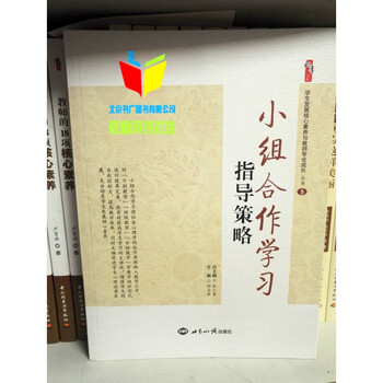 小组合作学习指导策略 孙立新学生发展核心素养与教师专业成长丛书