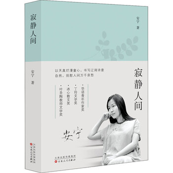 寂静人间 图书
