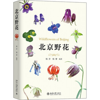 北京野花 北京大学旗舰店正版