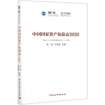 中国国家资产负债表(2020)