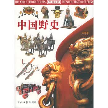 中国野史（彩图版） 翟文明