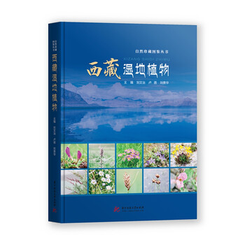 西藏湿地植物 刘文治，卢蓓，刘贵华
