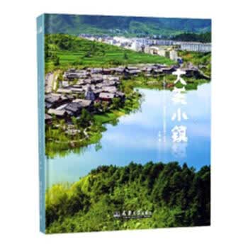 大美小镇建筑乡村规划建筑设计中国 图书