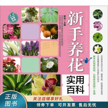 新手养花实用百科 穆鼎