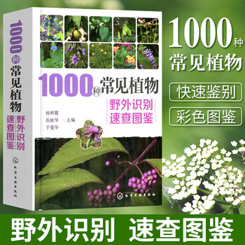 正版书籍 1000种常见植物野外识别速查图鉴 图解中草药大全 家庭书籍野外识别原植物鉴别图册中国常