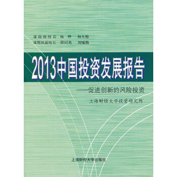 2013中国投资发展报告