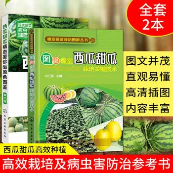 全新正版图说棚室西瓜甜瓜栽培关键技术+西瓜甜瓜病虫害诊治原色图鉴 大棚西瓜种植书籍西瓜种籽大瓜无子西