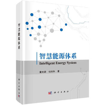智慧能源体系/童光毅