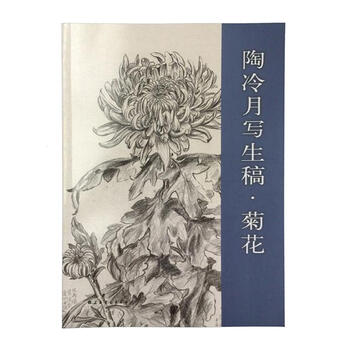 陶冷月写生稿·菊花