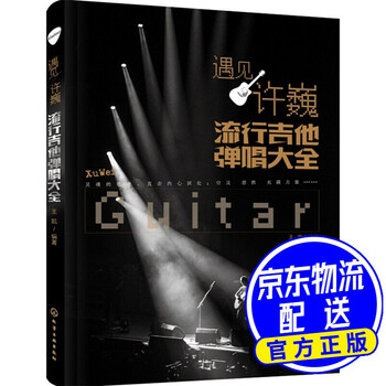 遇见许巍：流行吉他弹唱大全
