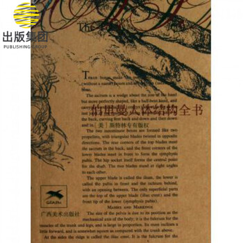 伯里曼人体结构全书