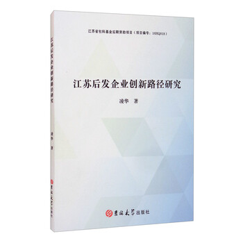 江苏后发企业创新路径研究