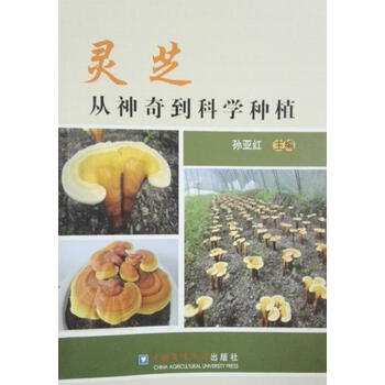 灵芝从神奇到科学种植 孙亚红 编
