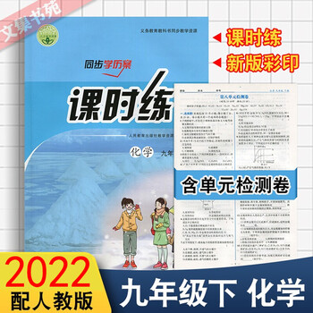 2022人教版初中初三9九年级下册化学课时练同步学历案活页练习册