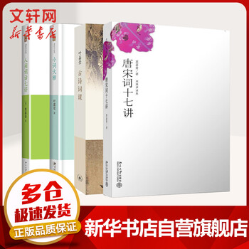 小词大雅+人间词话七讲+唐宋词十七讲+古诗词课 叶嘉莹作品集全四册