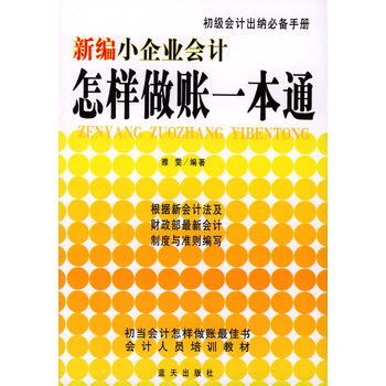 新编小企业会计怎样做帐一本通